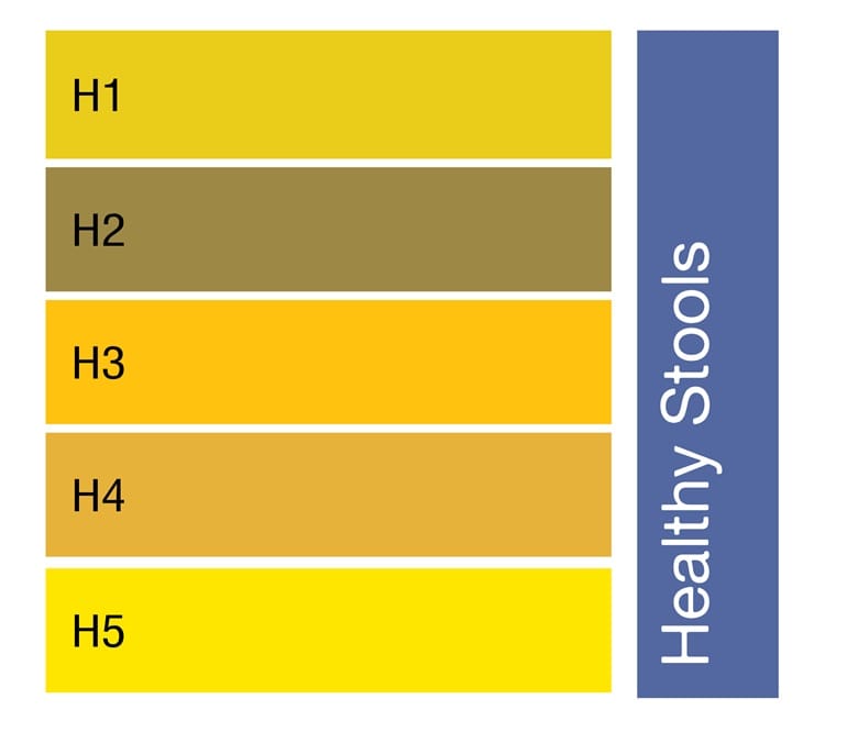 Stool Chart Children